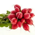 Buy PARYAVARAAN Radish Red Round Vegetable Seeds For Summer Season Home ...