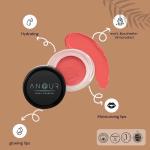 Raspberry Lip & Cheek Tint - JioMart