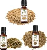 Buy botanic garden Combo of Aniseed,Dil Seed & Caraway Essential oil ...