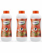 Buy atmanam Phosphate Solubilizing Bio Fertilizer 3 L (Pack of 3 ...