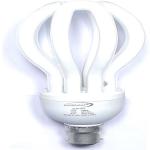 Buy SKYBRIGHT 32 W Globe B22 CFL Bulb (White) Online at Best Prices in ...