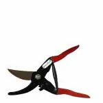 Buy Green whisper Stainless Steel Blade Cutter|Seeds Pruning Shear ...