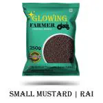 Buy GLOWING FARMER Black Small Mustard Seeds | Rai | Kali Rai 250g ...