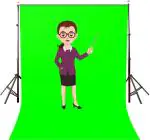 Buy Windrop Green Polyester Backdrop - 4X8 Ft. (Pack Of 1) Online at ...