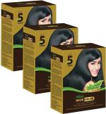 Buy Nisha Quick Hair Color Each Pack 60gm (Pack of 3),Natural BLACK ...