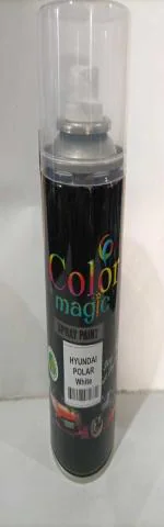 Buy COLORMAGIC SPRAY PAINT Hyundai Titan Grey Spray Paint 200 ml (Pack of 1) Online at Best ...