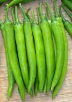 Buy JIGNISHA SEEDS Fat Chilli Pepper Vegetable Seeds For Rainy Season ...