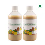 Buy Khauwala and Co. - Authentic Indian Traditional Ginger Lemon ...