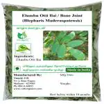 Buy Valli Organics Elumbu Otti Leaves | Bone Joint Leaves | Dudhiya ...