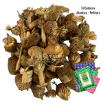 Buy SriSatymev Akarkara Flower 500g Pellitory Online at Best Prices in ...