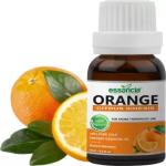 Buy essancia Orange Essential Oil for Skin Care, Hair, Body and ...