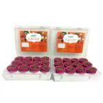 Buy Canfora Satdive Mini Sambrani Dhoop Cup for Pooja Hawan Non Toxic ...