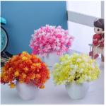 Buy DEV CREATION Set of 4 Great for Home Mini Multi Bright Color Bonsai ...