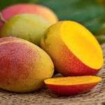 Buy Cloud Farm Rare Mango Fruit 1 Grafted Healthy Amba Plant Variety ...