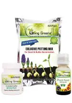 Buy Going Greens Plant Propagation Kit - Combo of Rootex Rooting ...