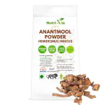 Buy Nutrixia Somlata Powder Somlata churna Gerard Jointfir Ain Khanta ...