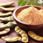 Buy VRIJ Babul Powder | 200Gm | Babool | Acaica Arabica | Orgnic ...