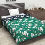 Buy Divine Casa Navy Blue and Green Microfiber Polyester Single ...