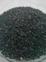 Buy Uzhavan Unavu - Karboga Rice Arisi (Saammangi Seeds) - 100 Gms ...