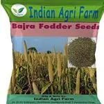 Buy Iagrifarm Fodder Bajra Seeds - 5 Kg - Multi Cut for Fodder Cultivation Online at Best Prices ...