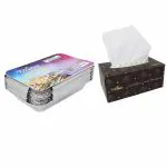Buy Freshee Container With Tissue, 100pulls 2ply Face Tissue Paper ...