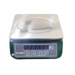 Buy MONET INTERNATIONAL SCALE Digital Weighing Scale 10 Kg ...