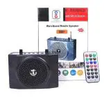 Buy TRONICA BT Rechargeable Multimedia Portable Display Speaker with Cordless Mic MP3, FM, SD ...