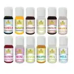 Buy MR. KOOL Liquid Food Essence 20 ml With 12 Flavours (Vanilla ...
