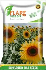 Buy Flare Seeds Sunflower Tall Seed 50 Per Packet Online at Best Prices ...