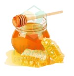 Buy NISARG ORGANIC FARM Raw Multi-Flora Honey I Pure Natural Organic ...