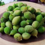 Buy JIGNISHA SEEDS Bhat karela (Kantola / Spiny Gourd/ Tealse Gourd ...