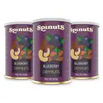 Buy Blueberry Dryfruits ( Pack Of 3 ) Online at Best Prices in India ...