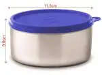 Buy Carry Blue Stainless Steel Big Container 2 Pc Online at Best Prices ...