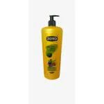 Buy ZOYO amla aritha and shakakai shampoo-800ml, lemon shampoo-800ml,alovera shampoo-800ml ...