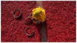 Marwar Mathania Mirch Red Chilli Whole & Dry (Sukhi Lal Mirchi Sabut ...