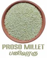Buy Innum Konjam Panivaragu - 2KG ( Proso Millet| Barri| Varigulu ...