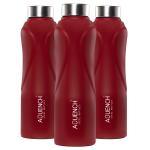 Buy AQUENCH BLAZE set of 3 Stainless Steel Colored Fridge Water Bottle ...