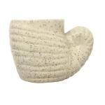 Buy Shopmefast Ceramic Shank Shape Pots Planter Online at Best Prices ...