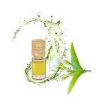 Buy FULLHINT Hanging Car Perfume | Car Air Freshener 5ml with Mogra ...