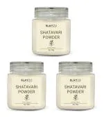 Buy Slayzo Shatavari powder 300 g (100g X 3 Pack) Online at Best Prices in India - JioMart.