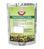 Buy SM Srimalar Enterprises Phosphobacteria Bio Fertilizer, 900g (Pack of 1) Online at Best ...