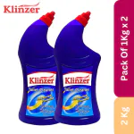 Buy Klinzer Toiler Cleaner 1L (Pack of 2) | Deep Clean Action | Flush ...