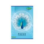 Buy Sundaram | Winner A/4 NoteBook | 240 Pages | 21 x 29.7 Cm | Single ...