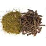 Buy Sree Madhava Sai Organic Thippili Powder l Long Pepper Powder ...