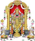 Buy GOD & GOD'S Multicolor Wall Sticker, 47 cm Online at Best Prices in ...