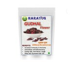 Buy HARAYUG GUDHAL PHOOL - HIBISCUS FLOWER - GUDHAL FLOWER - HIBISCUS ...