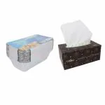 Buy Freshee Container With Tissue, 100pulls 2ply Face Tissue Paper ...