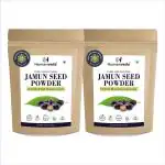 Buy Humanveda Natural Jamun Seed Powder for Diabetes - 200g Online at ...