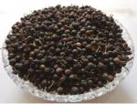 Buy Tamransh Kesariwala Piper Cubeba Seed, 100 Seeds Online at Best ...