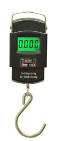 Buy ShopiMoz Handy Scale For Weighing Online at Best Prices in India ...